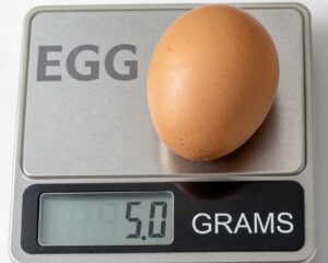 How Many Grams Is One Egg? A Guide to Egg Weights!